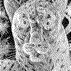 BetterLight 4x5 inch large format scanning back (digital ...