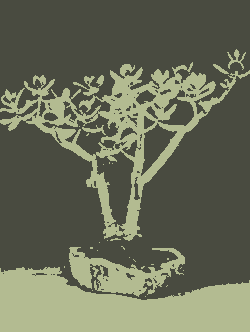 Tips for using bluescreening to mask an object in digital photography.